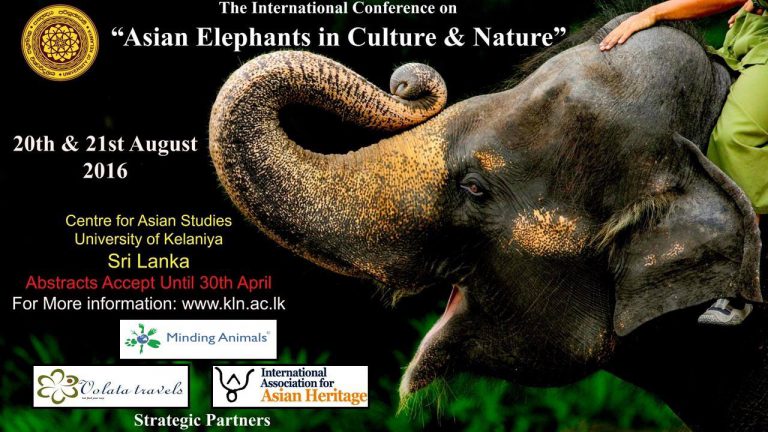 Asian Elephants in Culture & Nature | Volata Travels
